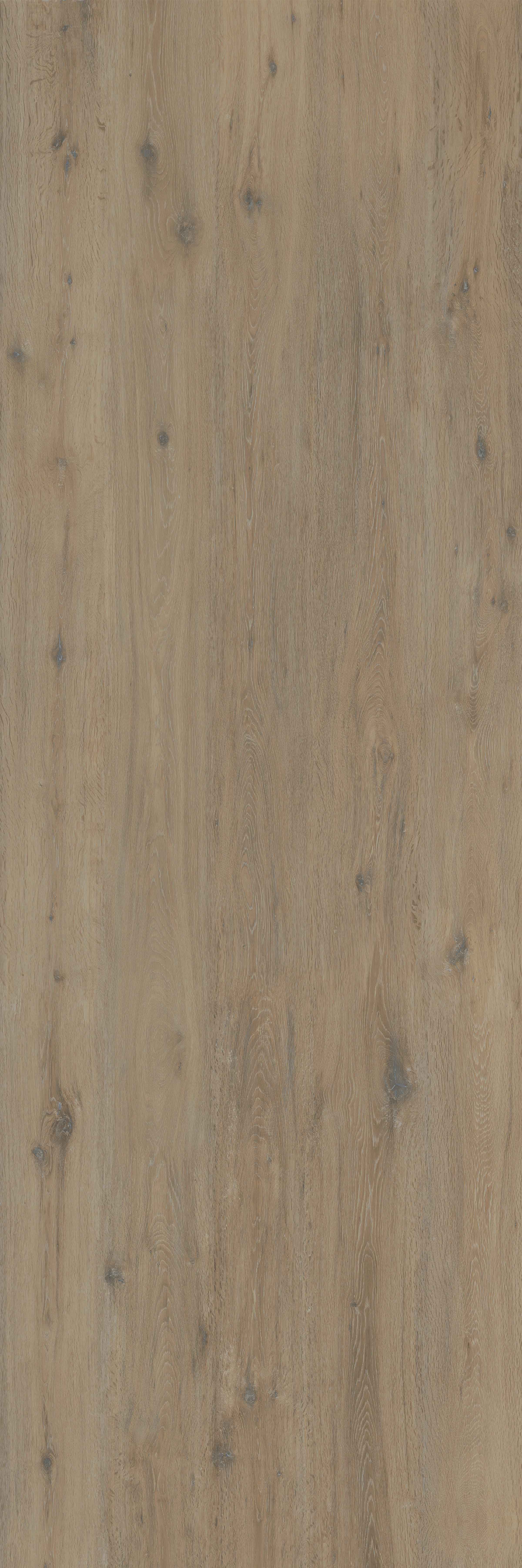 Hollywood Matte Beige Sinterflex Porcelain Tile 120X360 | KaleCore